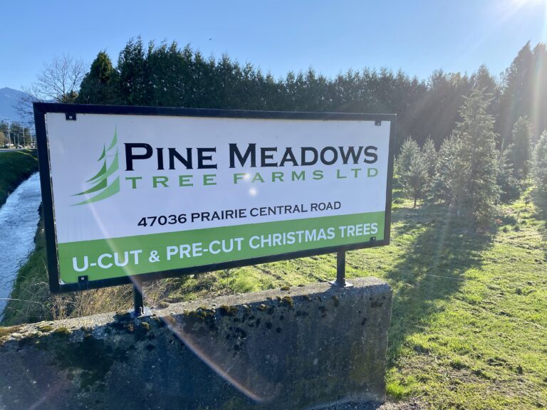 Trees – Pine Meadows Tree Farms